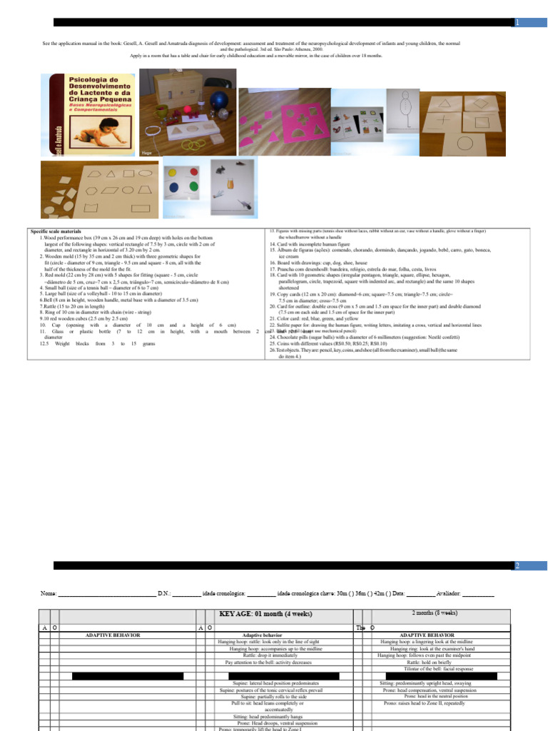 Gesell-Amatruda Development Scale Guide | PDF | Shape | Stairs