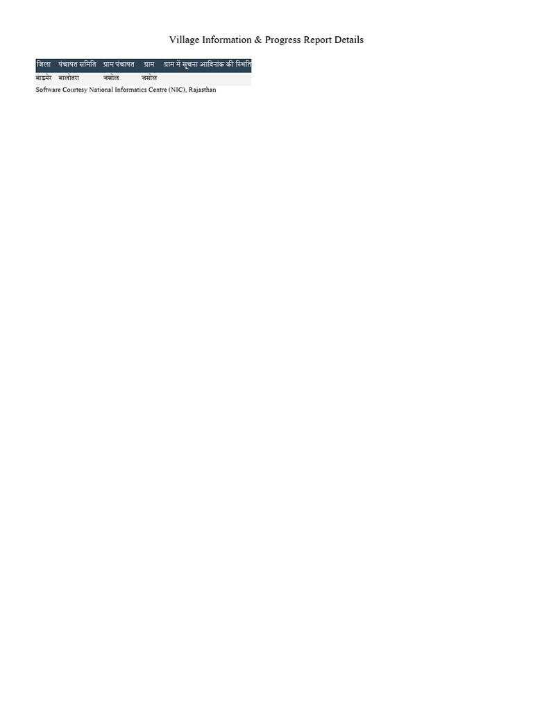 Village Information Progress Report | PDF