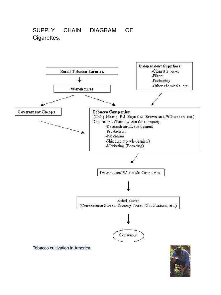 Cigarette Supply Chain Diagram | PDF | Cigarette | Tobacco