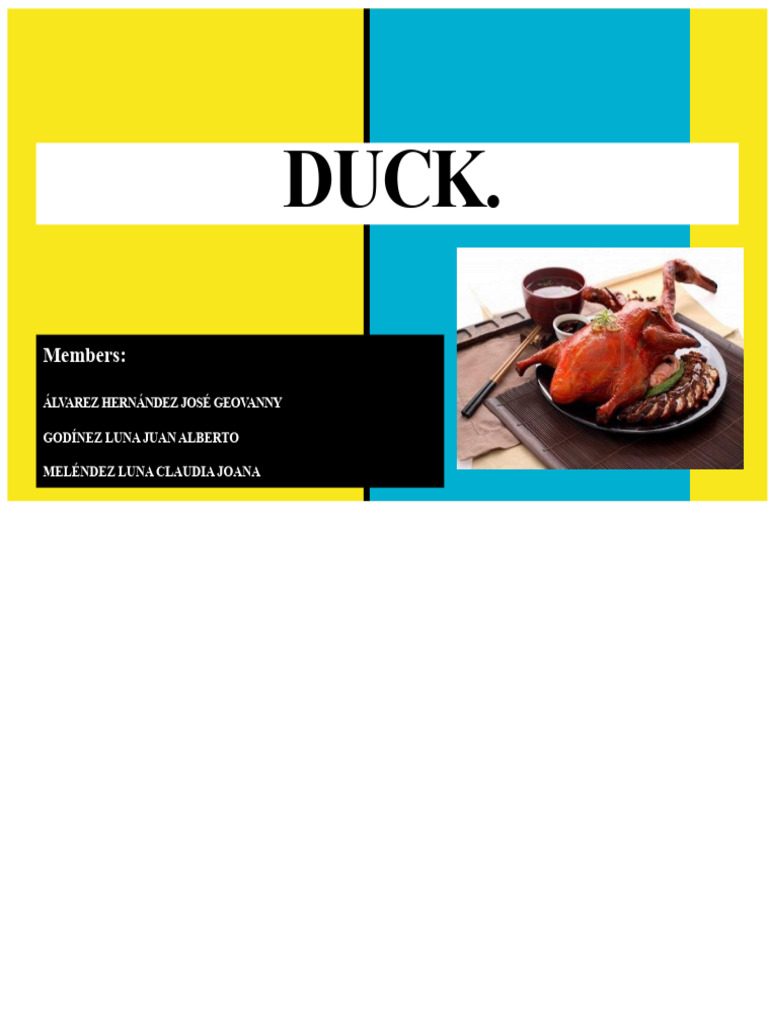 Duck Exhibition | PDF | Duck | Reproduction