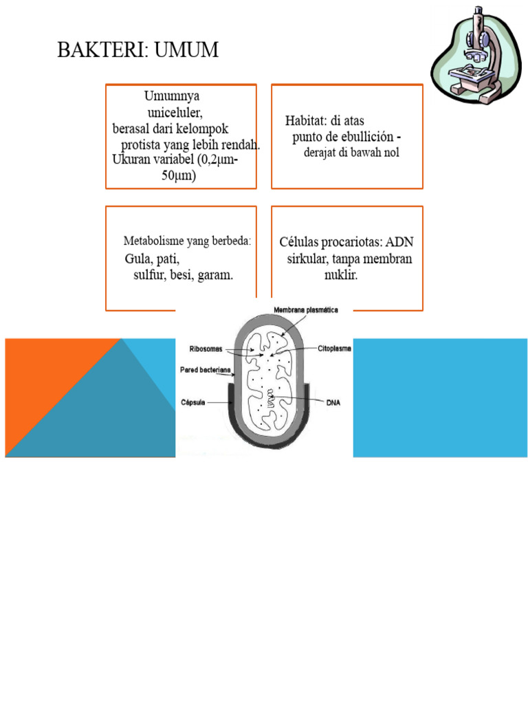 BAKTERI+PPT | PDF