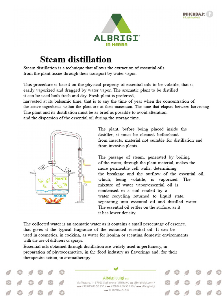 Essential Oil Extraction via Steam Distillation | PDF