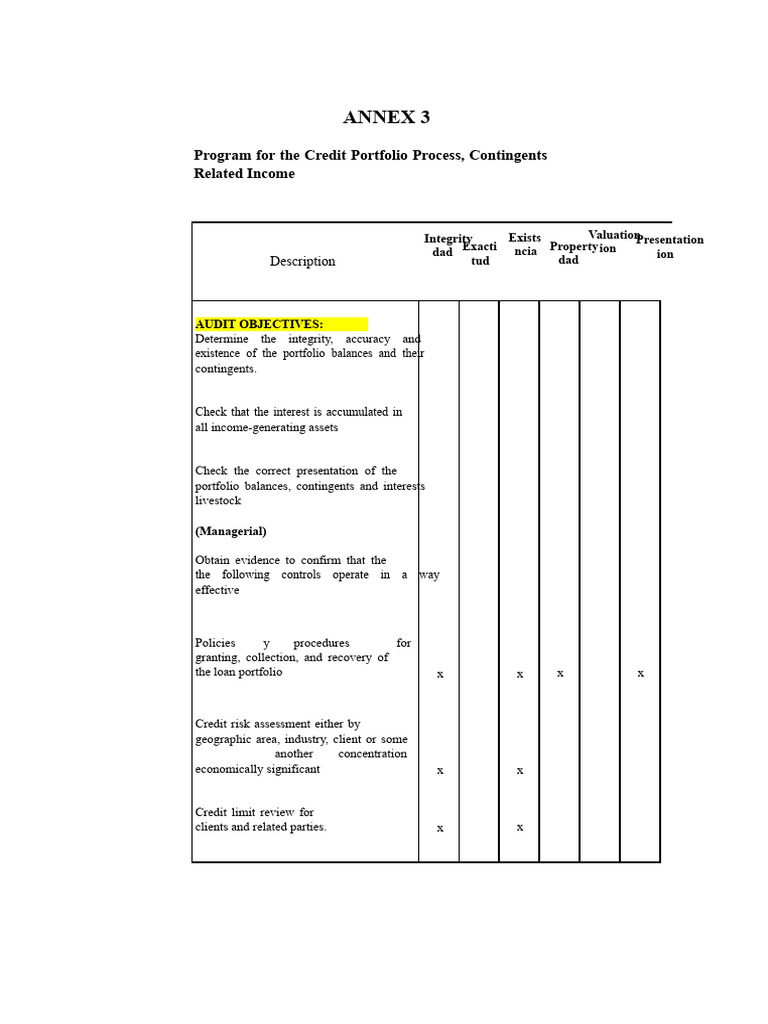 Audit Program Model - Credit Portfolio - Financial Entity | PDF ...