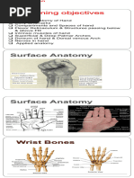 Palmar Hand Anatomy Overview | PDF | Hand | Musculoskeletal System