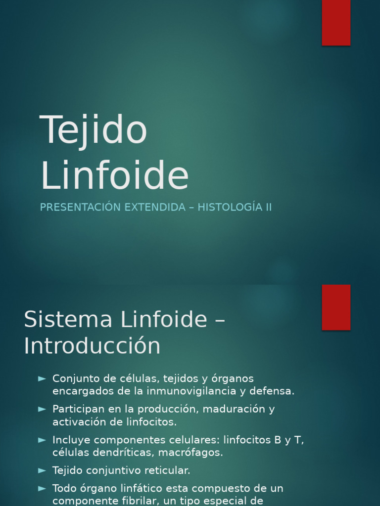 Sistema Linfoide: Estructura y Función | PDF | Ganglio linfático ...