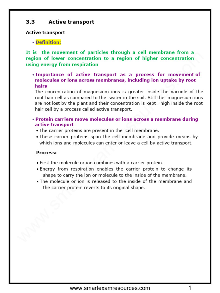 Understanding Active Transport in Cells | PDF