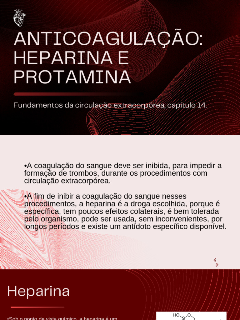 Blank Company Profile Business Presentation in Black Red Abstract Tech Style.pdf | PDF ...