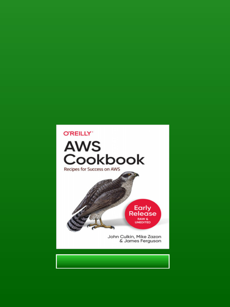 Aws Cookbook Early Release 1st Edition John Culkin Mike Zazon James ...