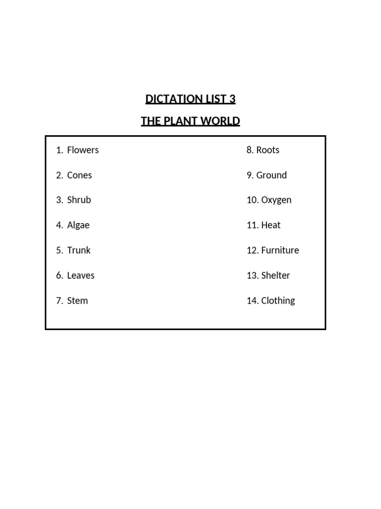 Dictation List 3 Class 1 | PDF