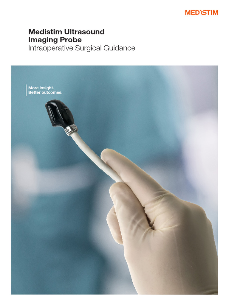 Brilinen 2 0 1 Imaging Probe Brochure English A4 | PDF | Medical ...