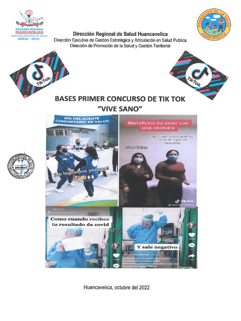 Bases Tik Tok | PDF