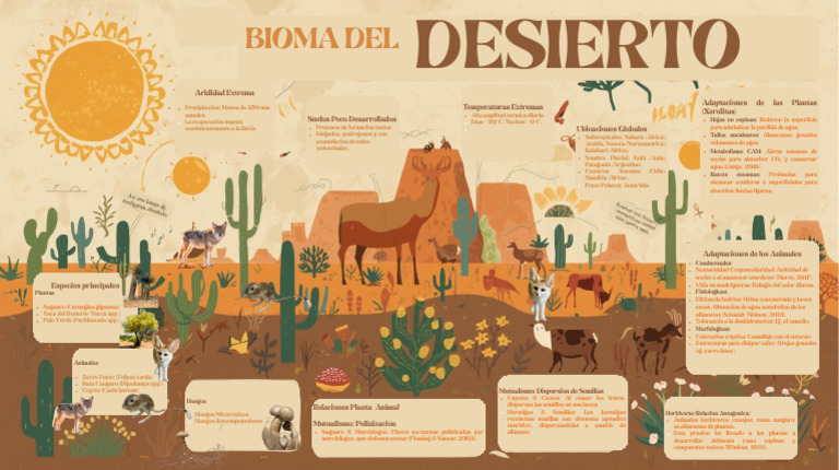 Biooma Desierto | PDF | Desierto | Atmósfera