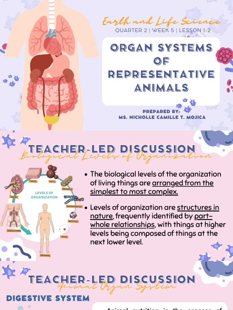 Organ Systems of Representative Animals WEEK 5 LESSON 1 2 1 | PDF ...