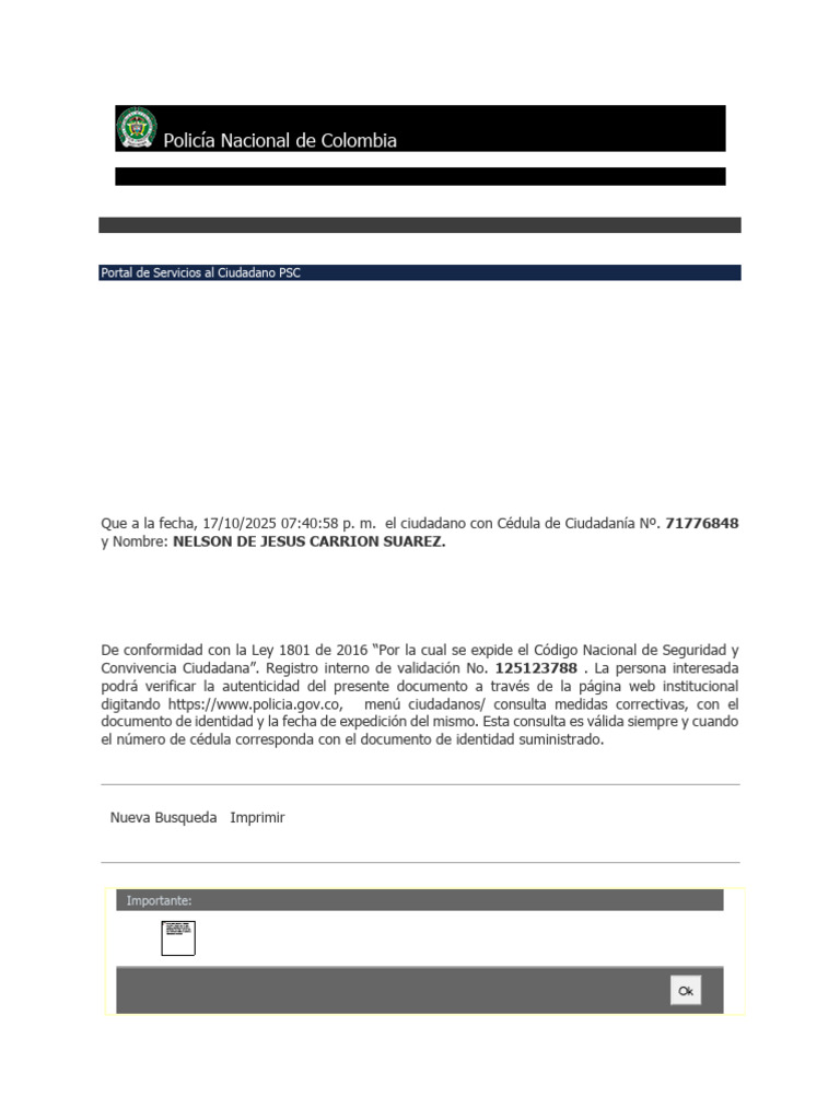 1.7.4 Consulta RNMC Nelson Carrion | PDF