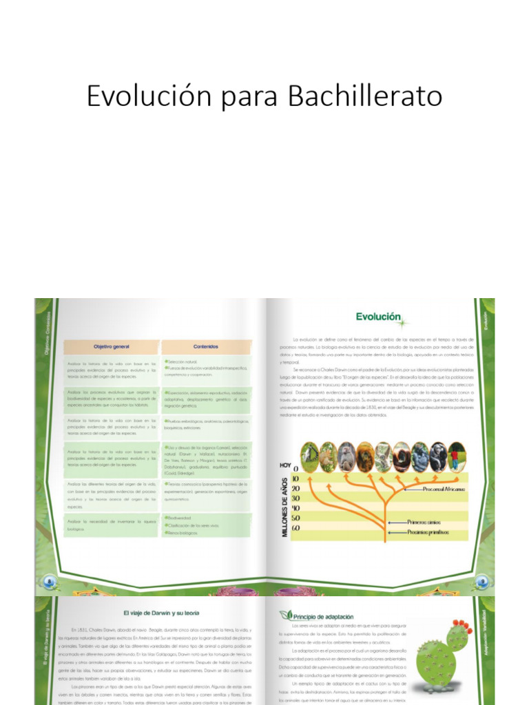 Evolución para Bachillerato | PDF
