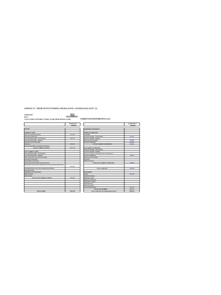General Balance and Daily Book 2022 | PDF | Fixed Asset | Balance Sheet