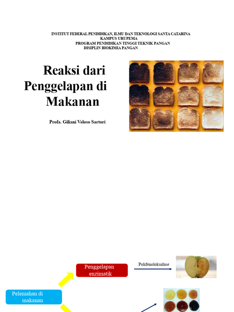 Reaksi Penggelapan Makanan: Karamelisasi dan Maillard | PDF