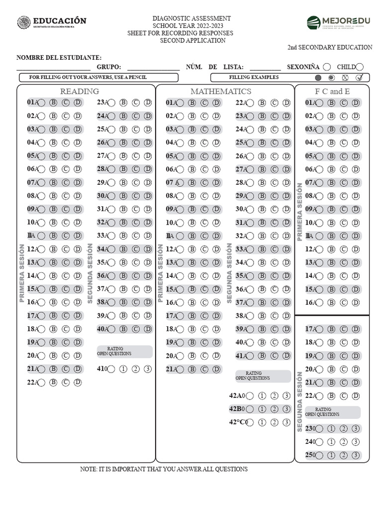 Diagnostic Assessment Response Sheet | PDF