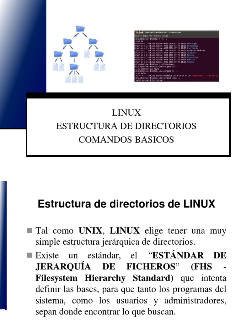 SESION 04 - Linux Estructura de Directorios y Comandos Basicos ...