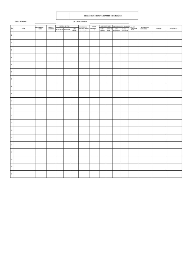 Driver Inspection Format | PDF