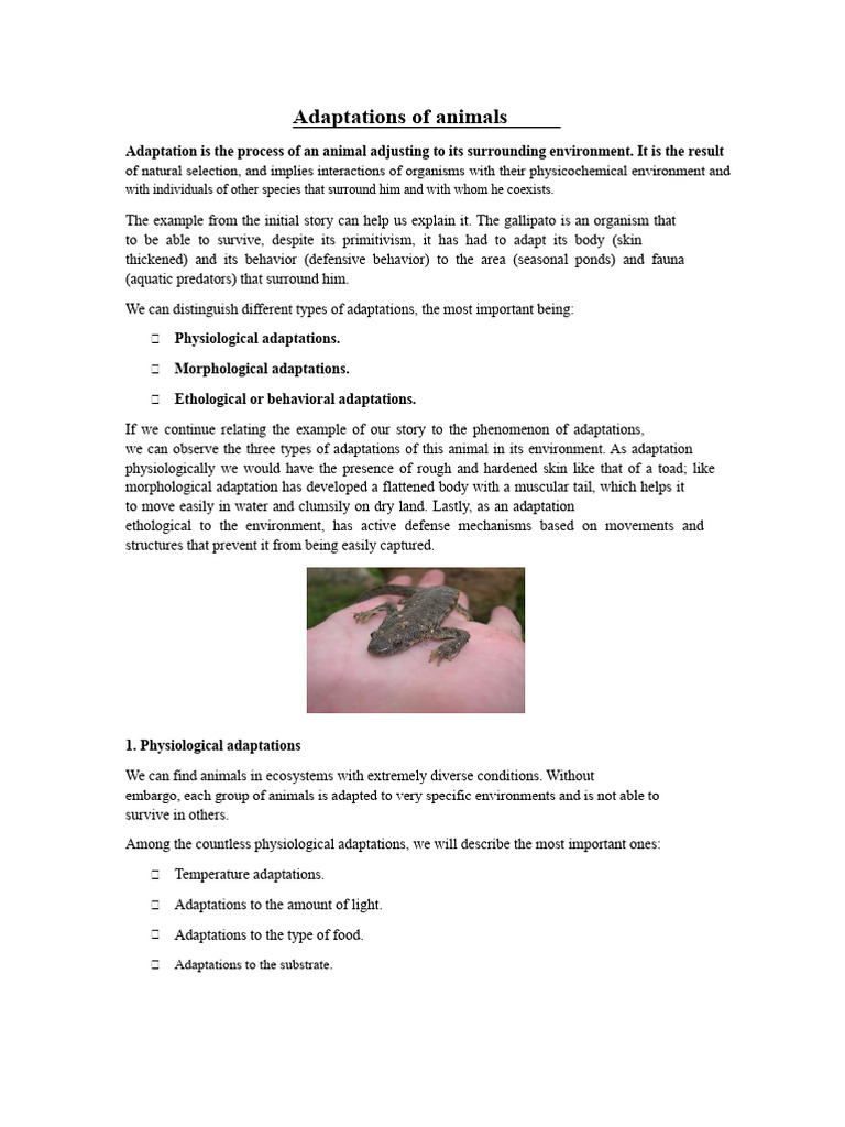 Animal Adaptations (REPORT) | PDF | Animal Locomotion | Predation