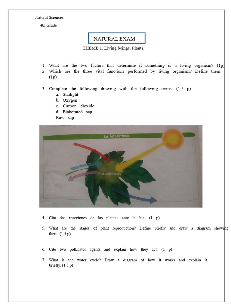 Natural Science Exam 4th Grade | PDF