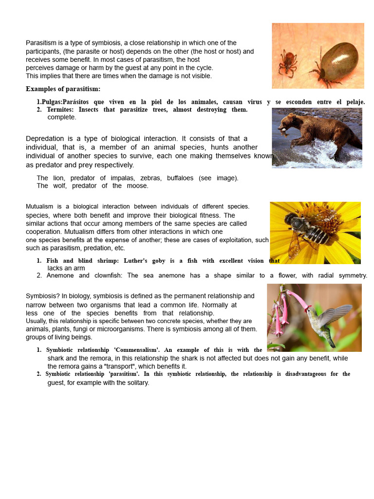 Mutualism Is A Biological Interaction. | PDF | Symbiosis | Ecosystem
