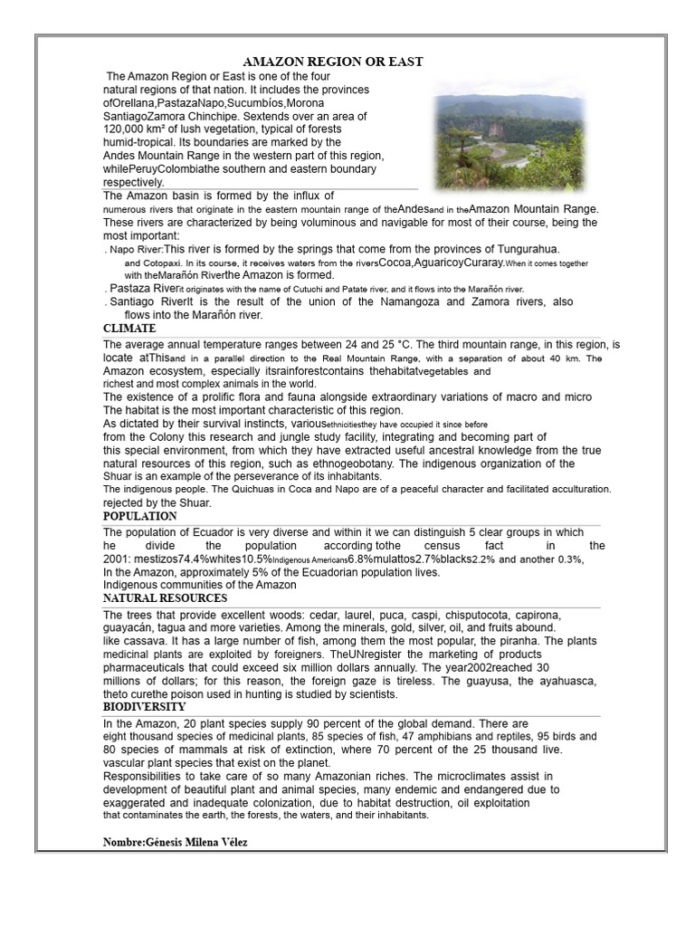 Amazon Region or East | PDF | Amazon River | Amazon Rainforest