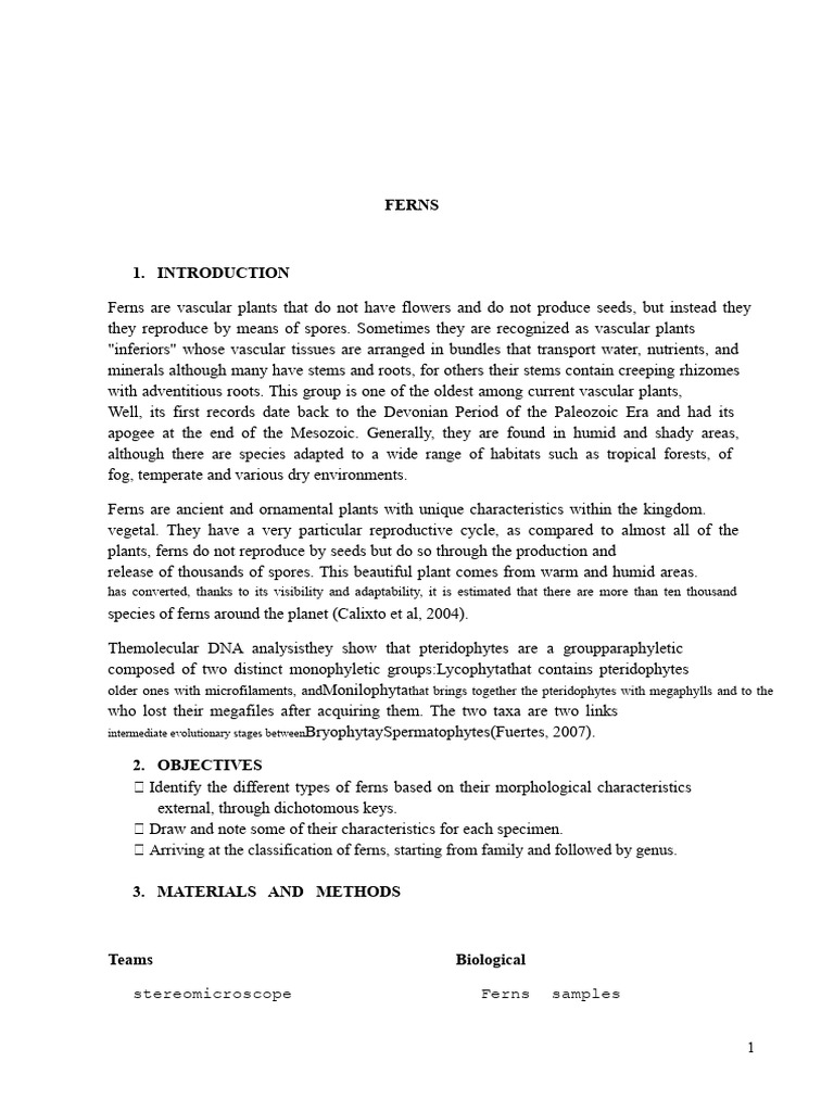 Report Ferns | PDF | Fern | Leaf