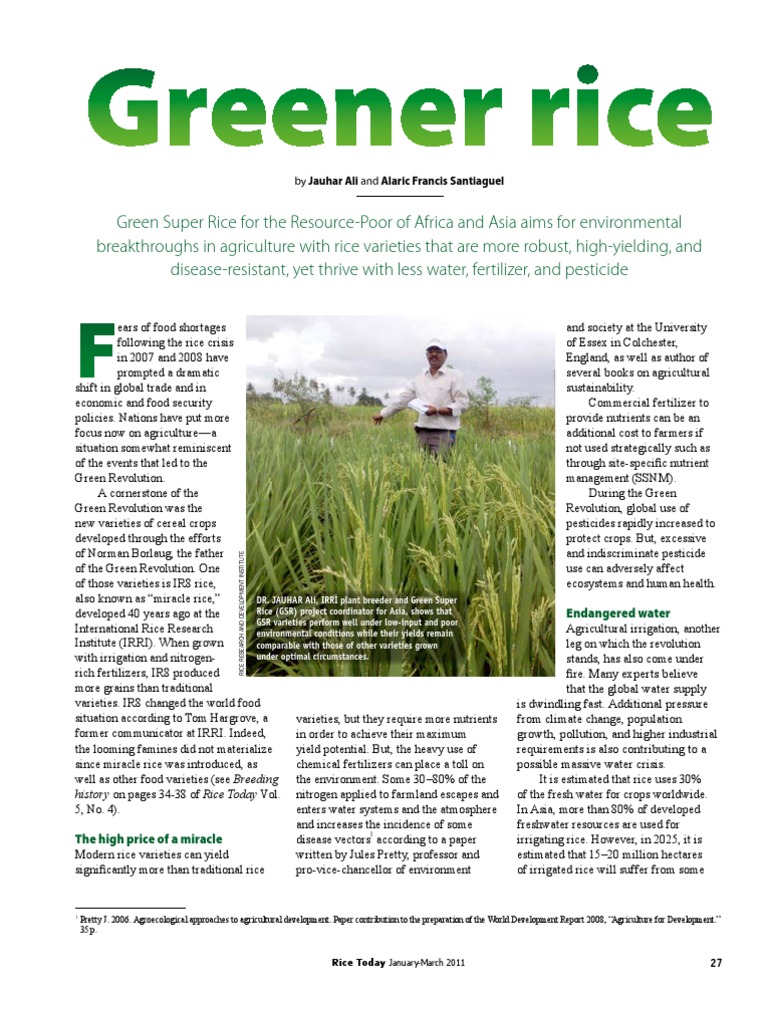 RT Vol. 10, No. 1 Greener Rice | PDF | Green Revolution | Rice