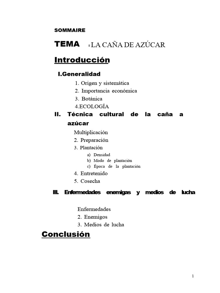 Curso Sobre La Caña de Azúcar en C.I. | PDF | Caña de azúcar | Azúcar