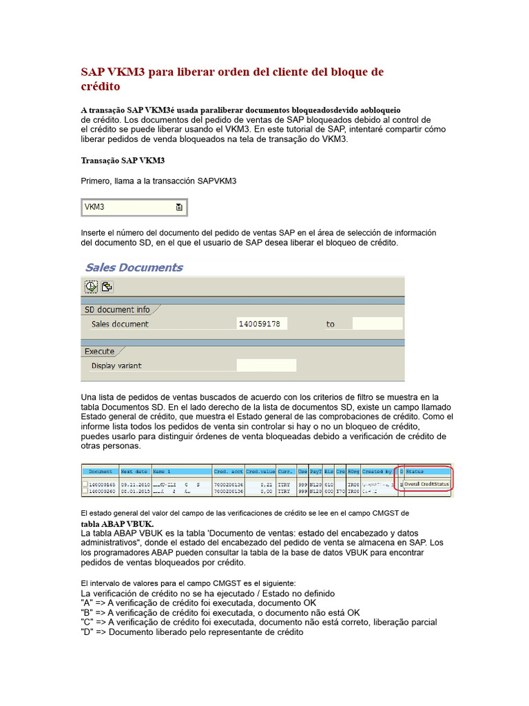 Manual SAP VKM3 para Liberar Orden Del Cliente Del Bloqueo de Crédito ...