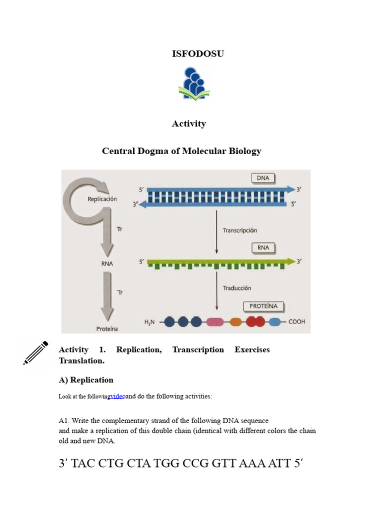 Central Dogma of Molecular Biology Activity | PDF
