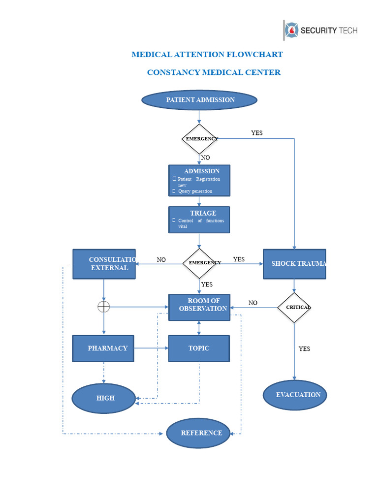 Medical Attention Flowchart | PDF