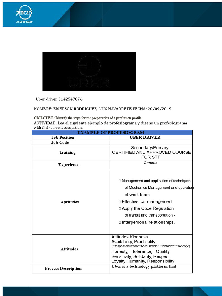 Example of A Professional Profile of A Driver | PDF | Screw