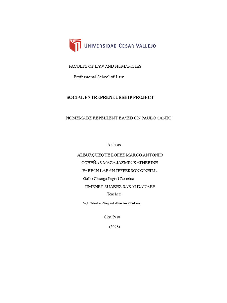 Final Structure of Social Entrepreneurship Project (1).docx | PDF ...