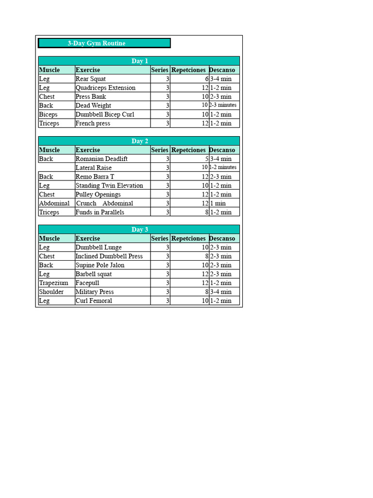 Gym Routine Template Excel 3 Days | PDF