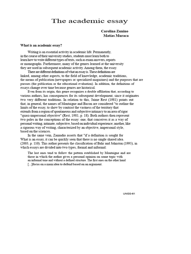 The Academic Essay | PDF | Essays | Bibliography