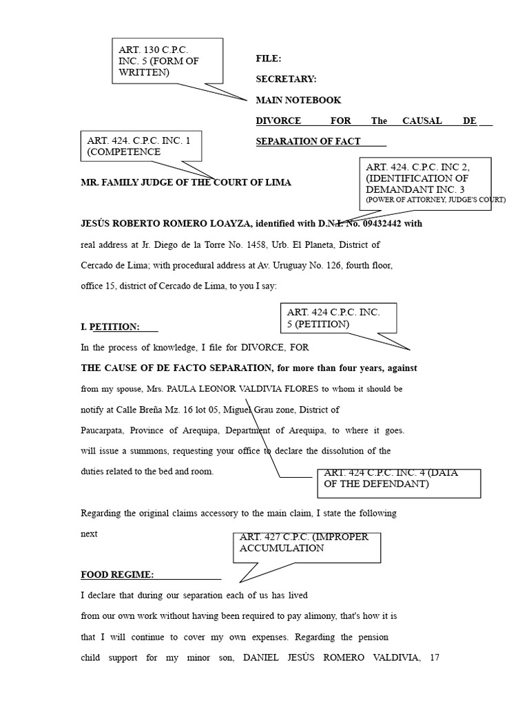 Peruvian Civil Lawsuit | PDF | Divorce | Social Institutions