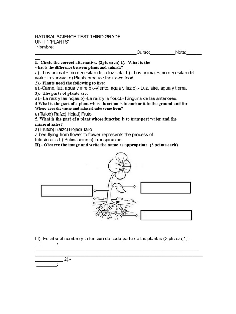 Natural Sciences Test Third Grade | PDF | Flowers | Petal