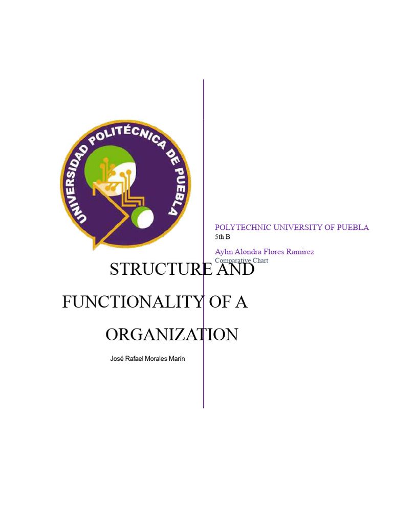 Comparative Chart | PDF | Social Psychology | Business