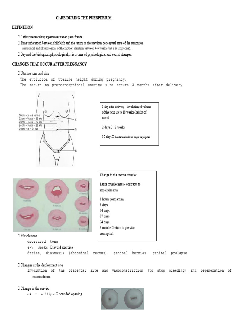 Puerperium | PDF | Postpartum Period | Childbirth