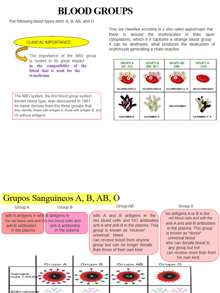 Understanding Blood Groups and Compatibility | PDF | Blood Type | Blood