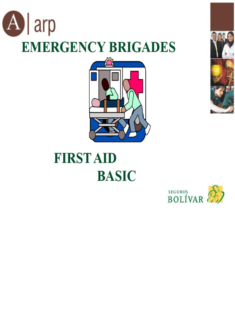Basic First Aid | PDF | Burn | Pulse