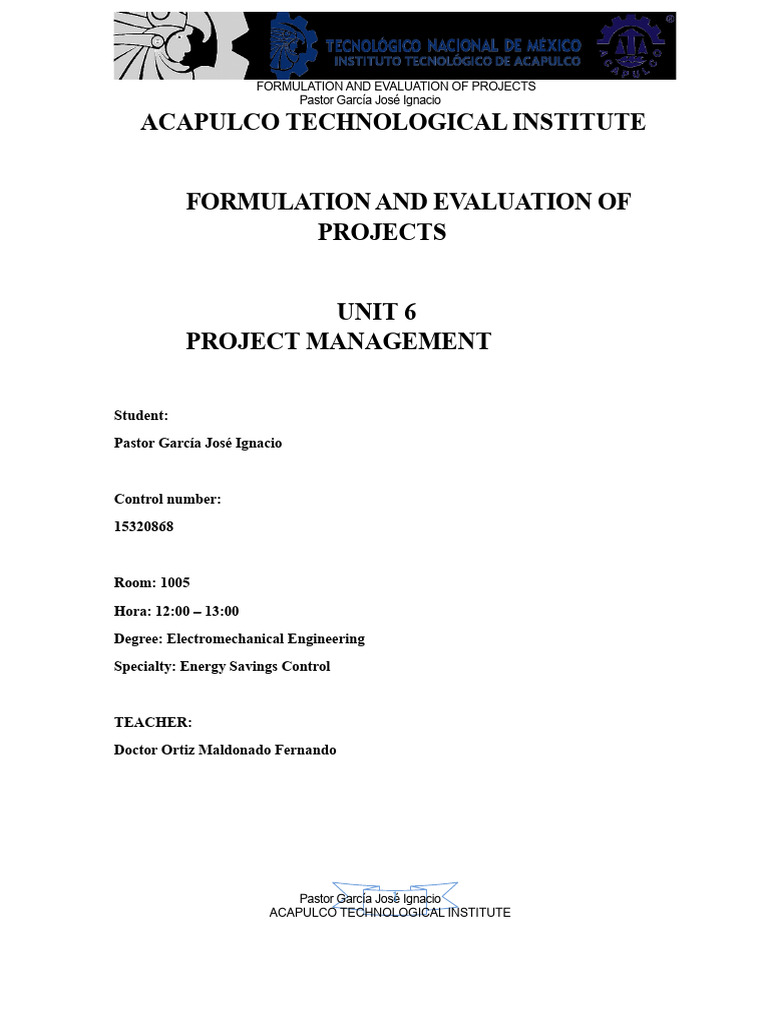 Unit 6 Formulation | PDF | Project Management | Business