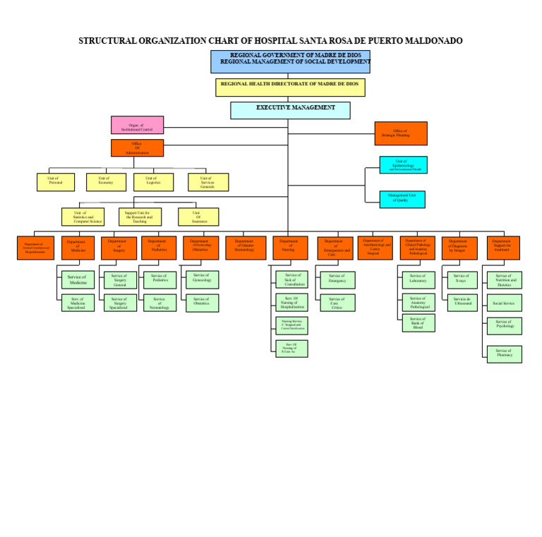 Hospital Santa Rosa Organizational Chart | PDF | Medicine | Hospital