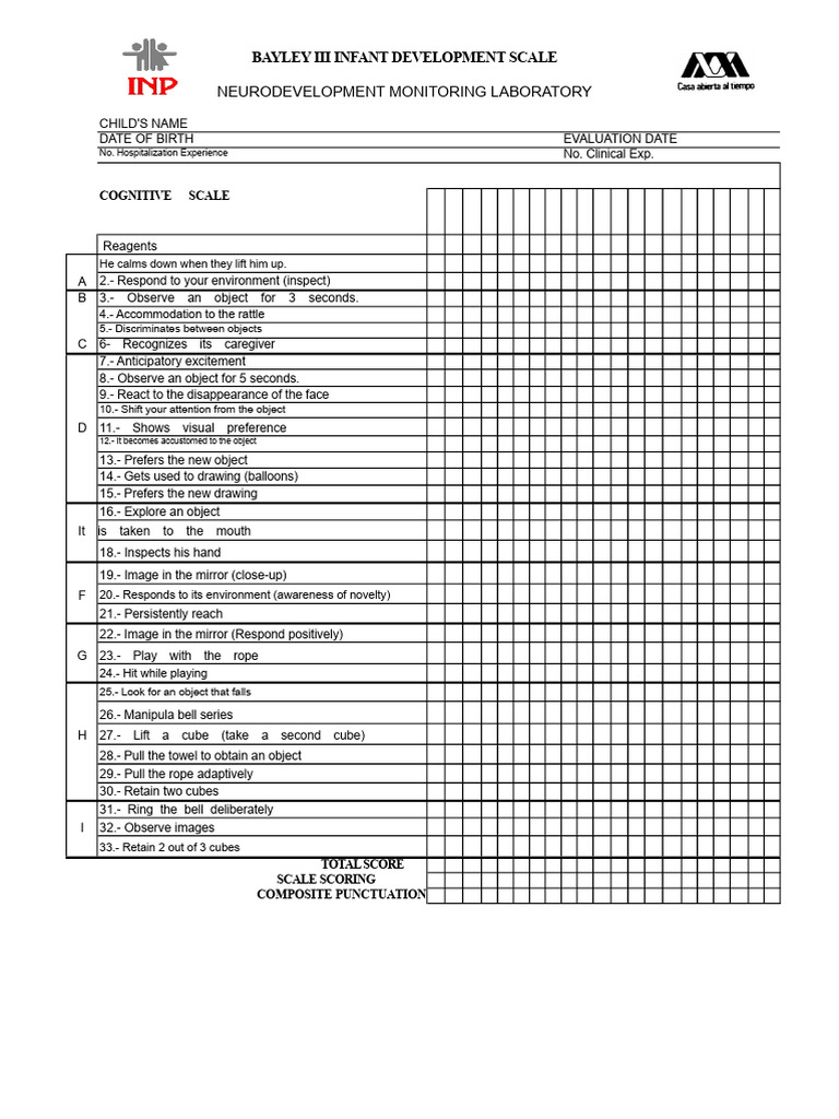 Bayley III Format | PDF | Child Development | Foot