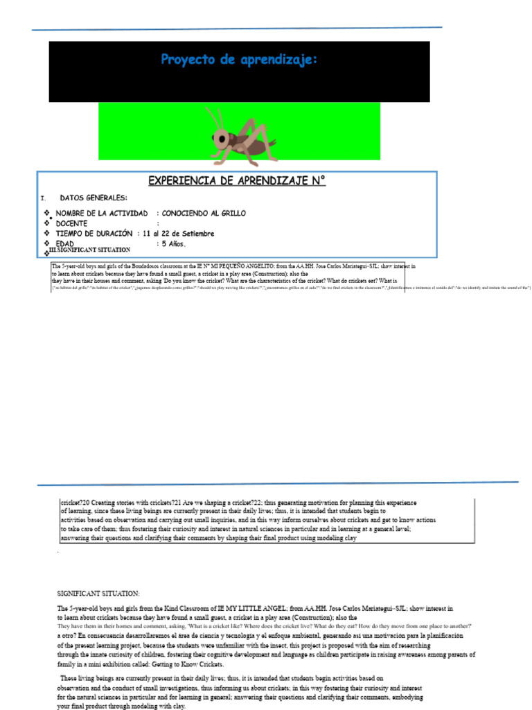PROJECT - Getting To Know The Cricket | PDF | Inquiry | Information