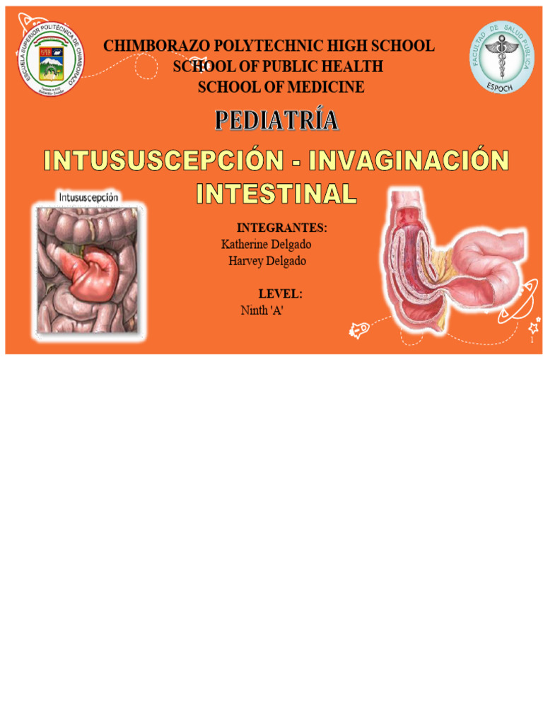 Intestinal Invagination | PDF