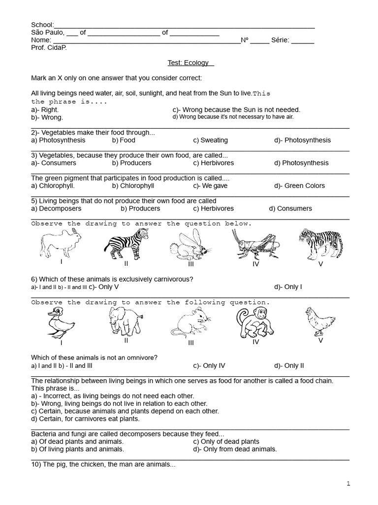 Food Chain Test | PDF | Foods | Herbivore